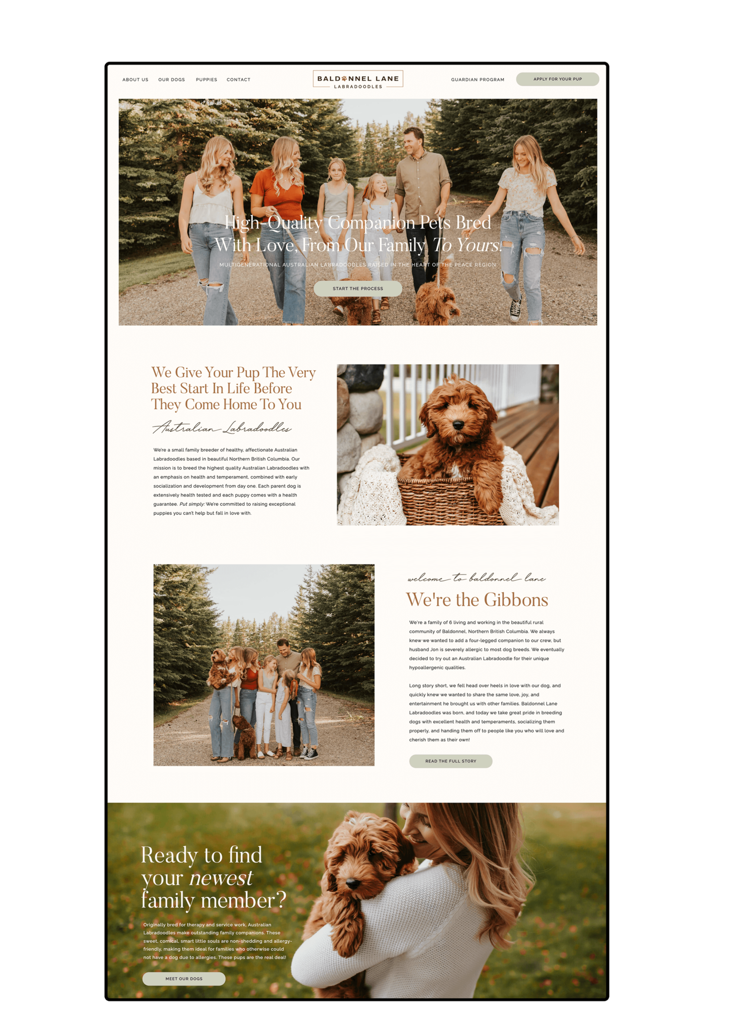 Showit Dog Breeder Website Design for Baldonnel Lane | CWD