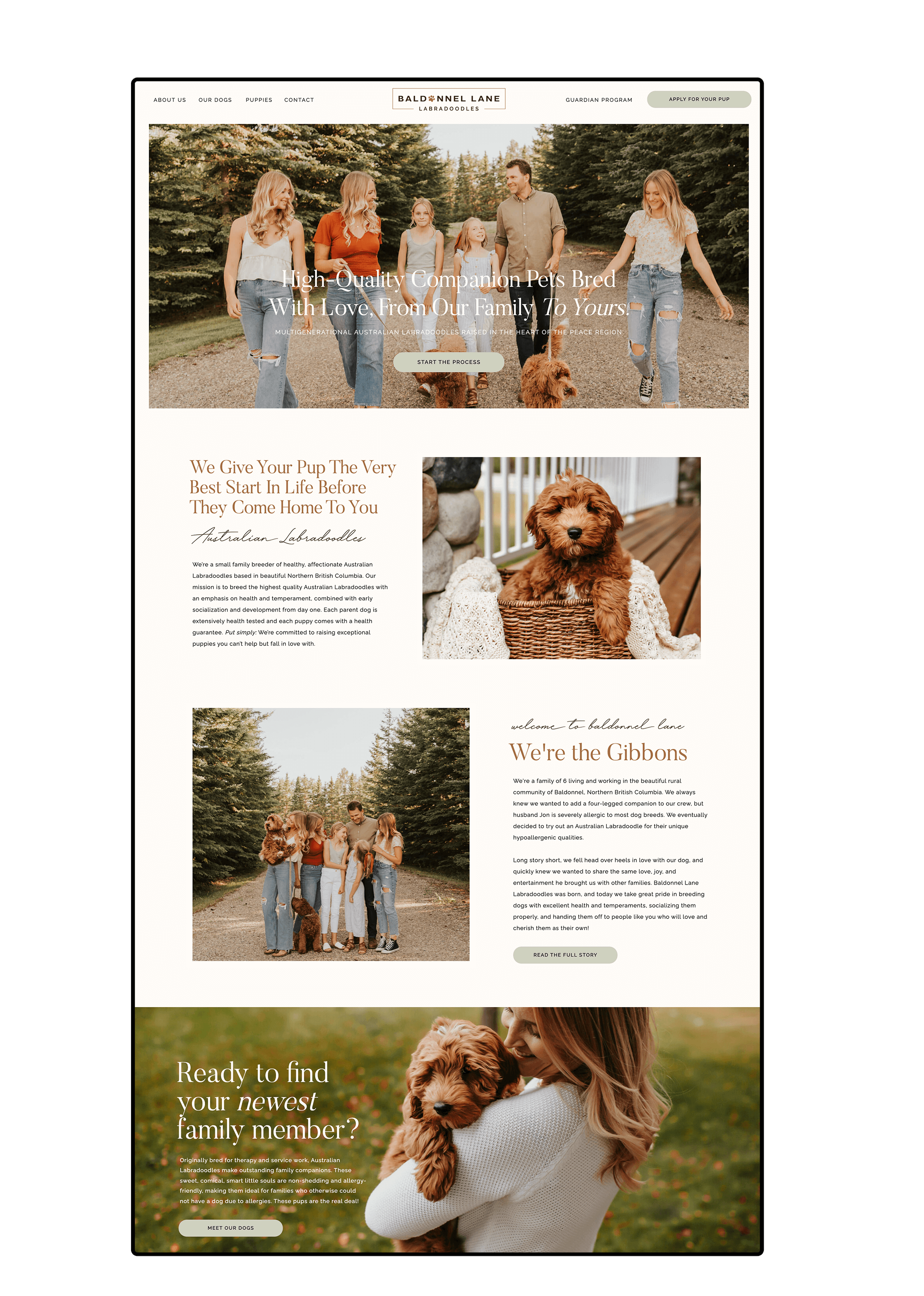 Showit Dog Breeder Website Design - Baldonnel Lane | CWD