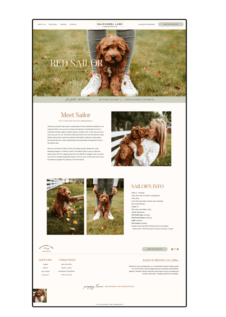 Showit Dog Breeder Website Design for Baldonnel Lane | CWD