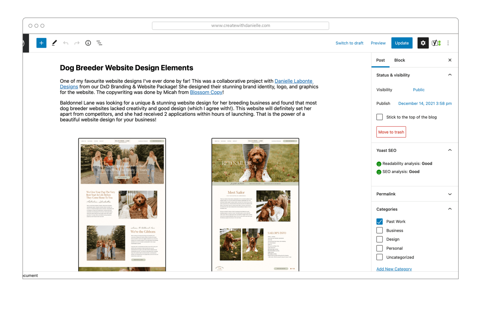 How it Works: Showit Website & WordPress Blog | CWD