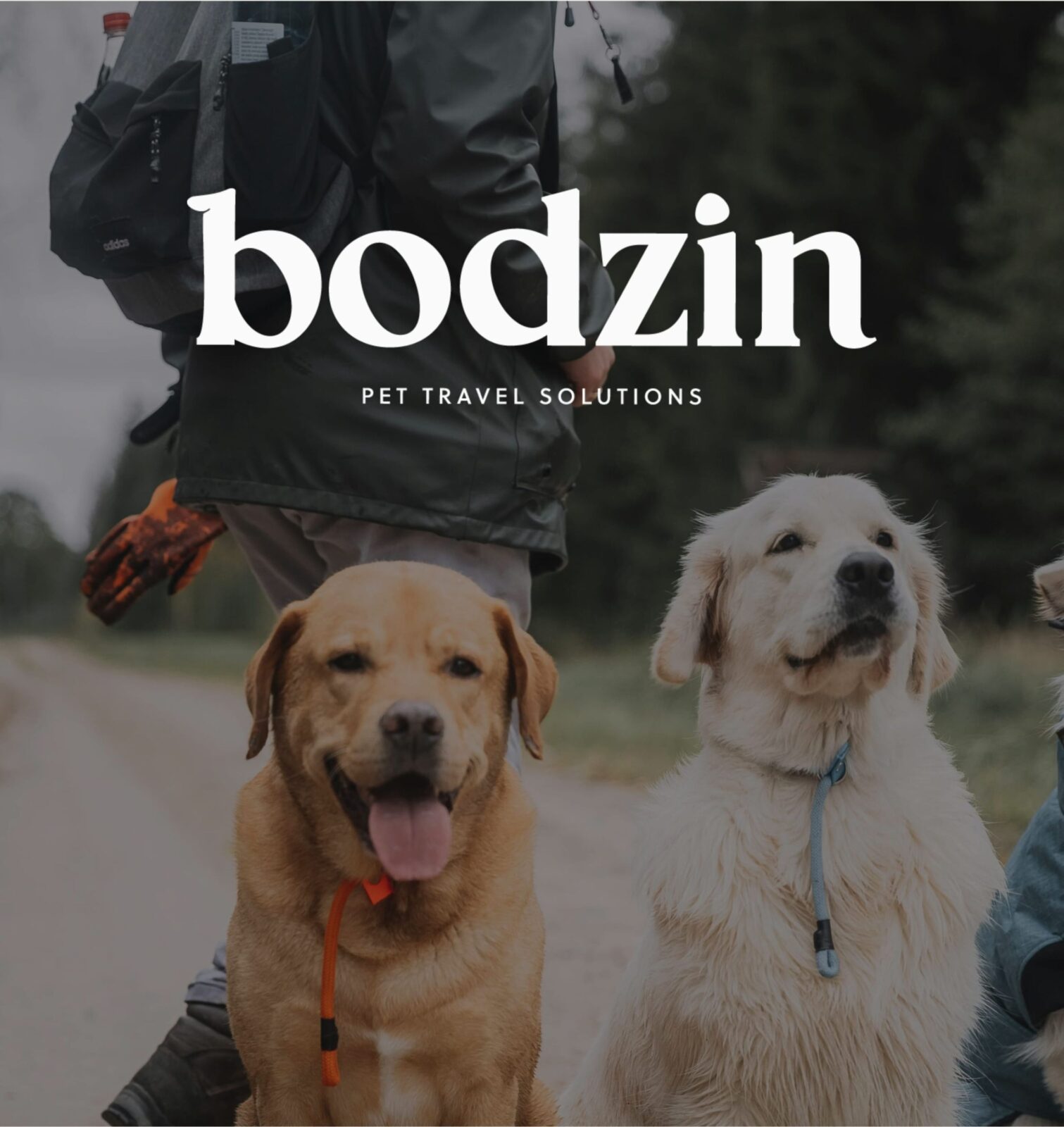 4 Logo Variations Every Brand Needs To Have in Their Brand Identity ...